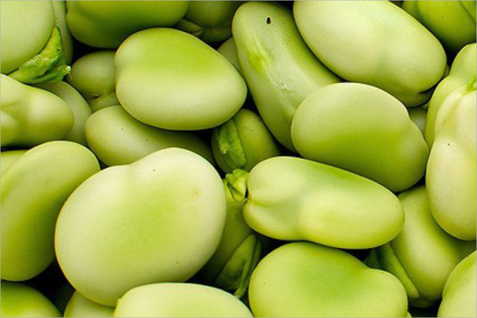 Habas – Organicos Nutriandina